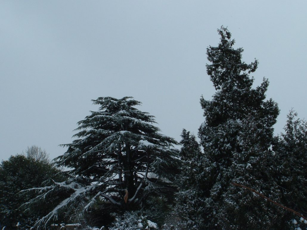 Image Gallery | Charing Parish Council | Charing Kent